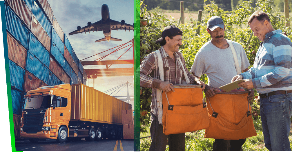 Acerca de Nosotros – NAVIS LOGISTICS SOLUTIONS SAS